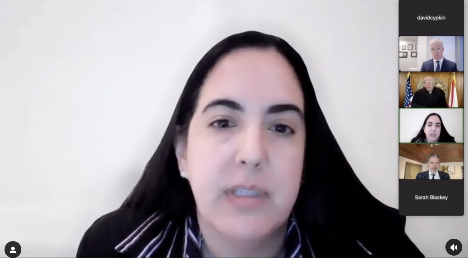 Judge scolds, mutes Miami Attorney Victoria Mendez in virtual hearing ...