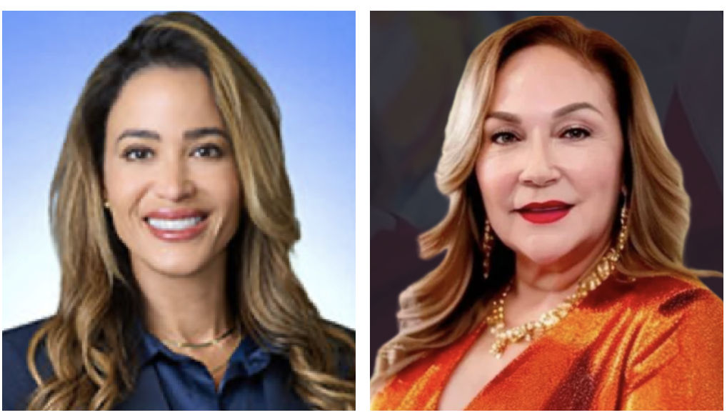 Danielle Cohen Higgins gets a challenger — one with Republican ties ...